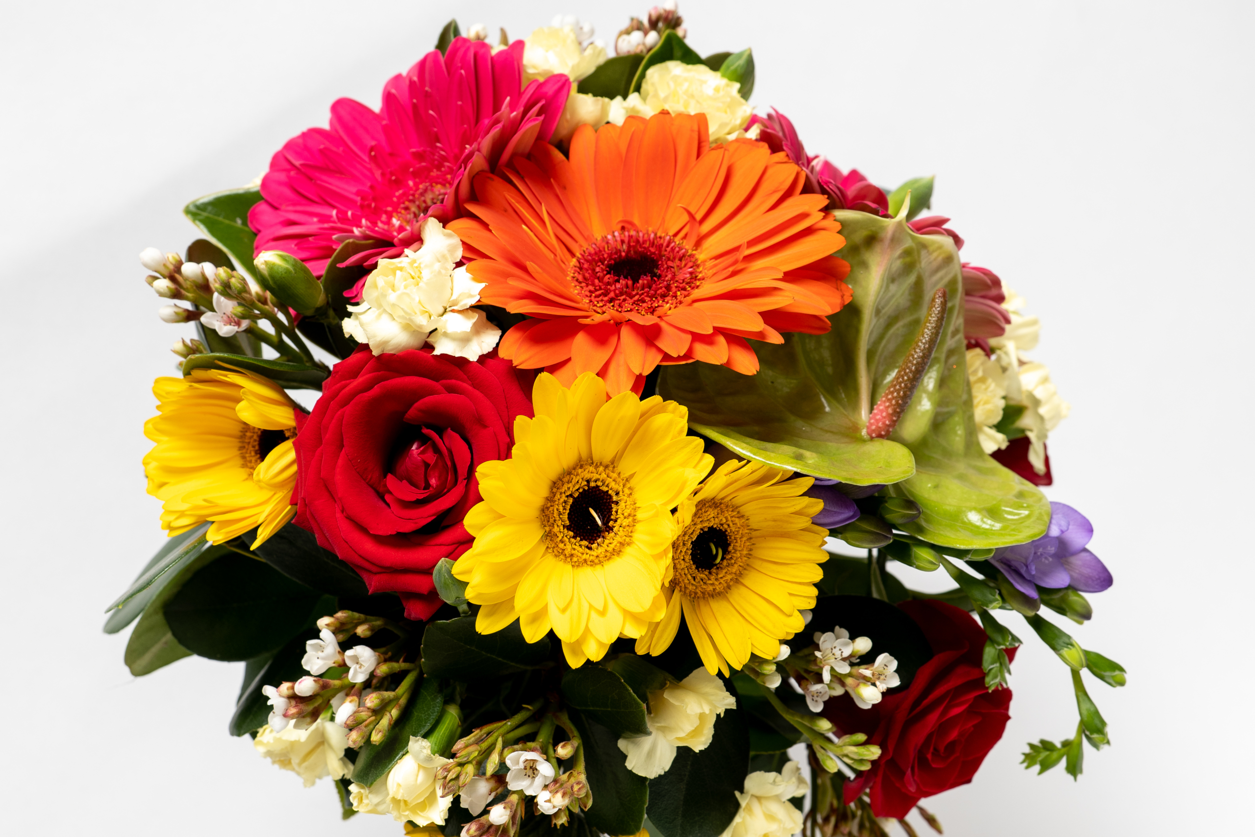 Bright Pot Arrangement - Natural Bunch Florist | Meadowlands Florist ...